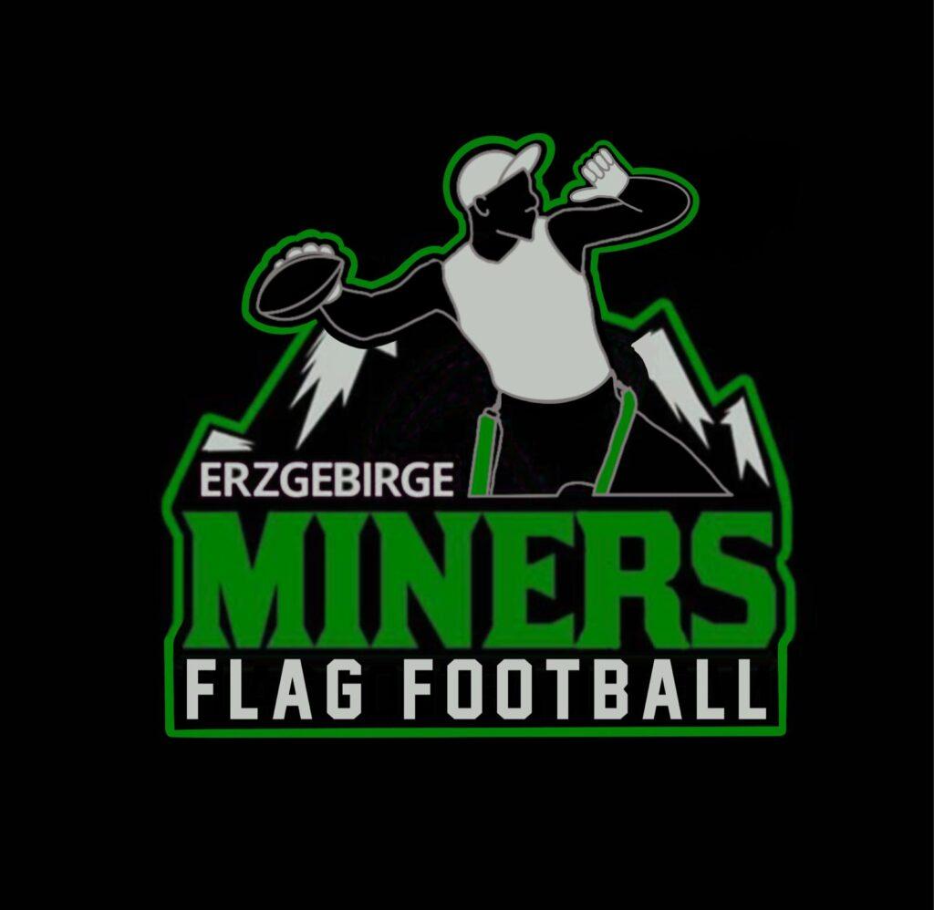 Erzgebirge Mini Miners - Erzgebirge Miners